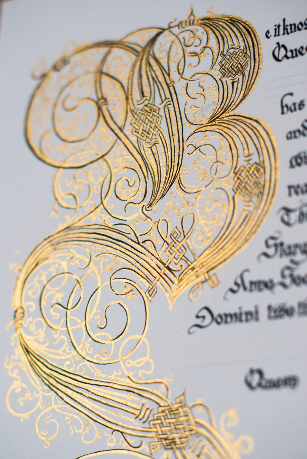 Queen’s Champion Award Scroll – Opus Elenae